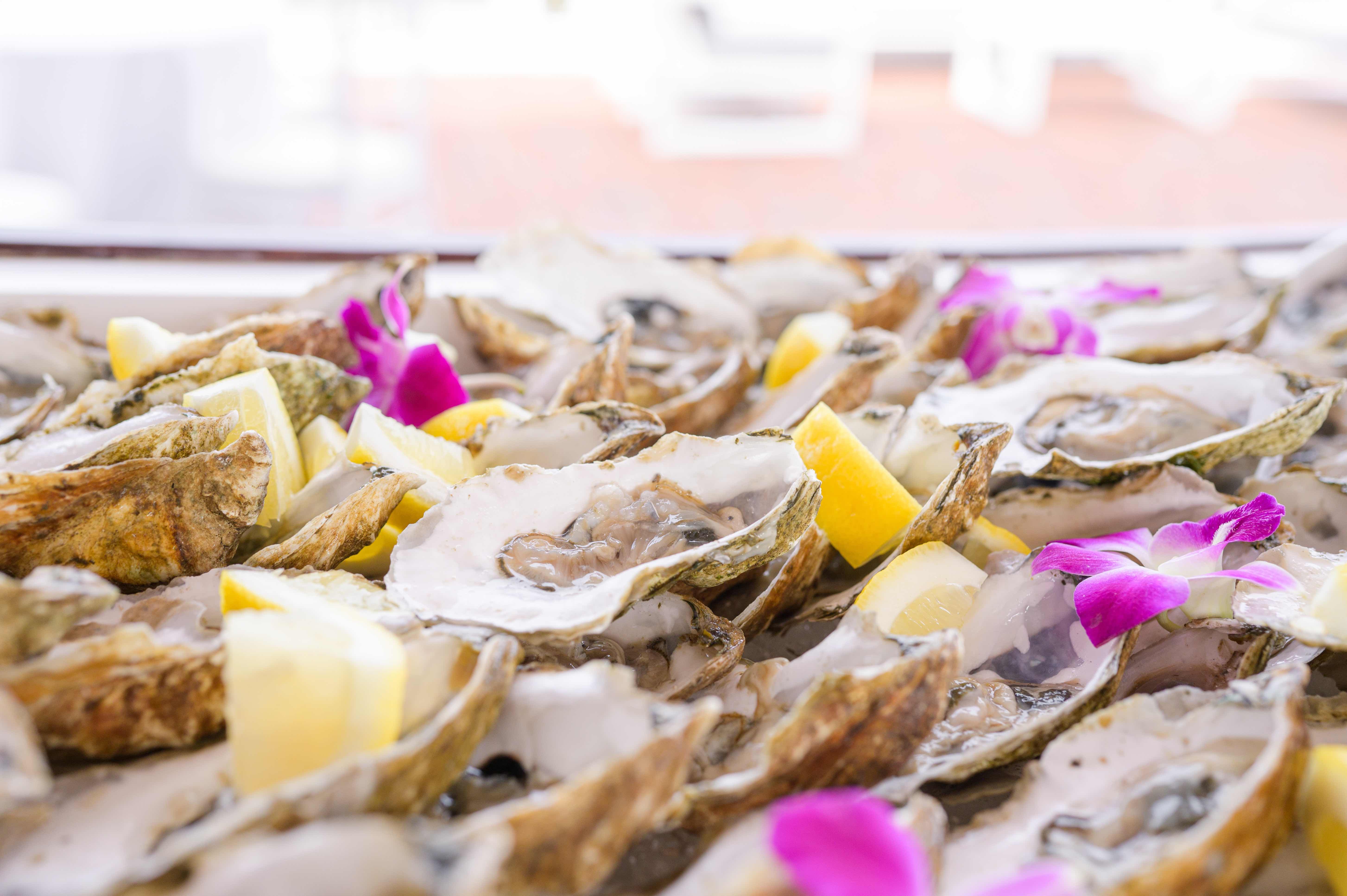 The 10 Best Fine Dining Restaurants on Cape Cod