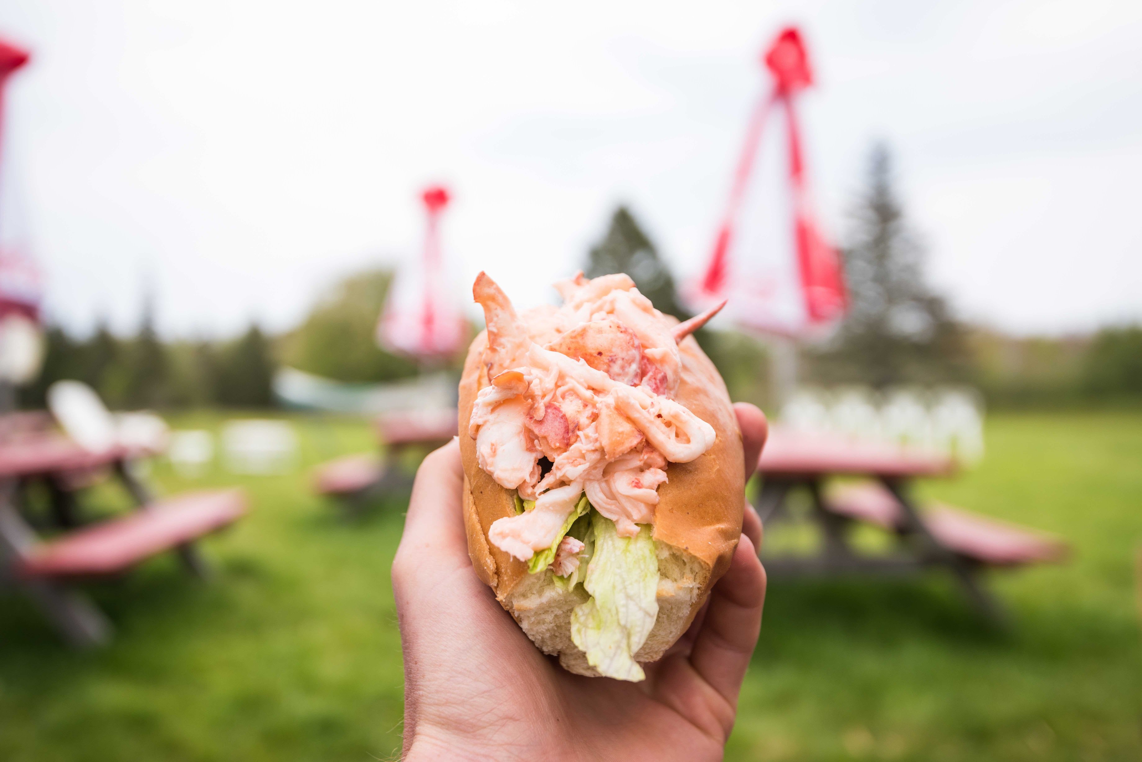Where to Find the Best Lobster Roll on Cape Cod