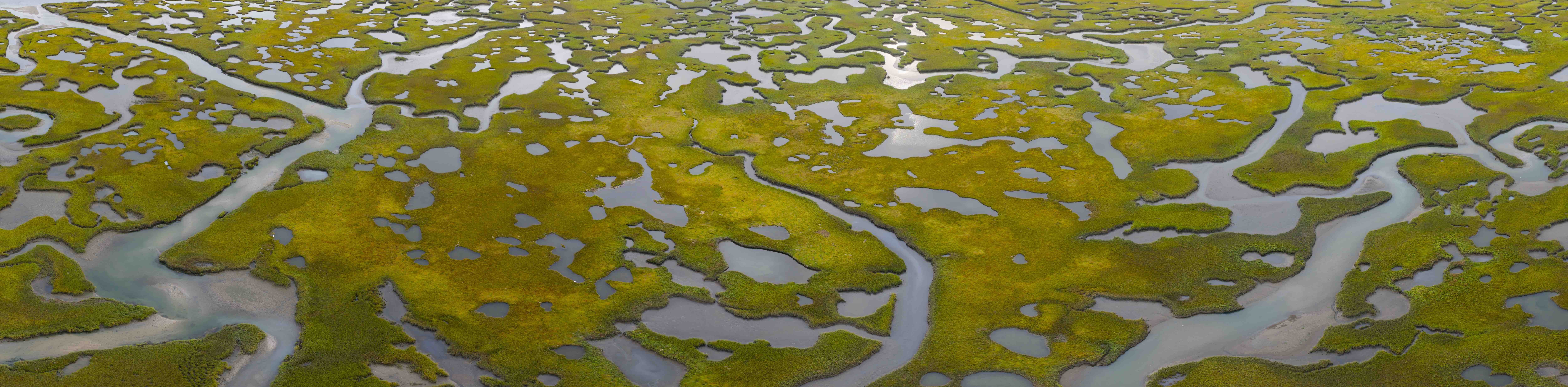The Best Kayaking Spots on Cape Cod