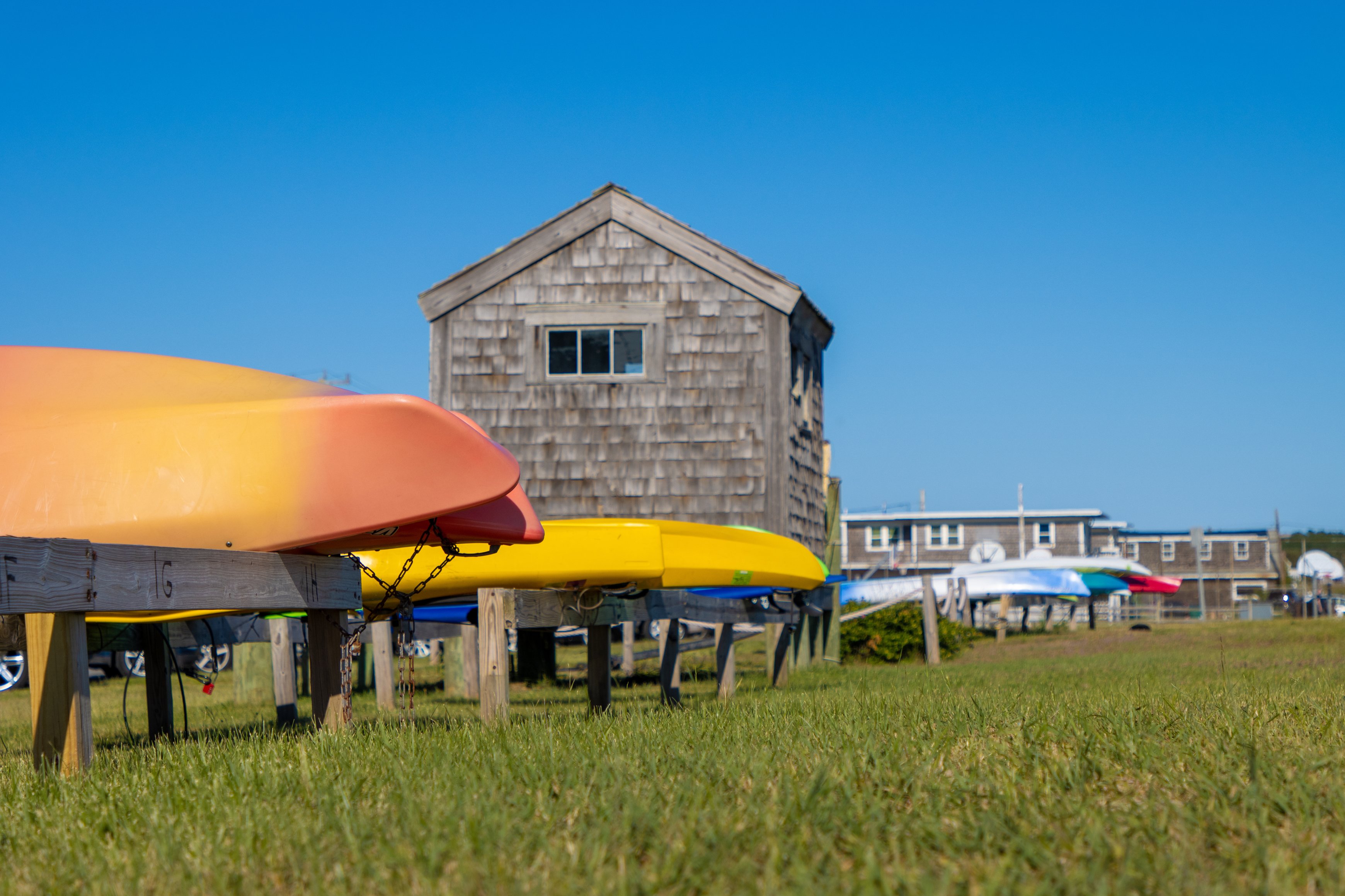The Best Kayaking Spots on Cape Cod