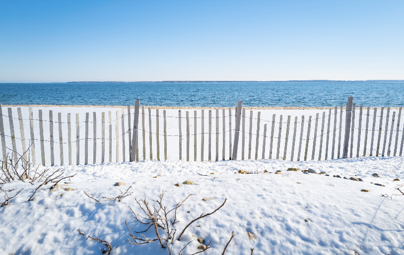 Best Things to Do on Cape Cod in the Winter