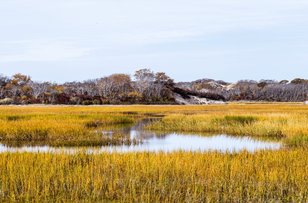 Best Things to Do on Cape Cod in the Fall