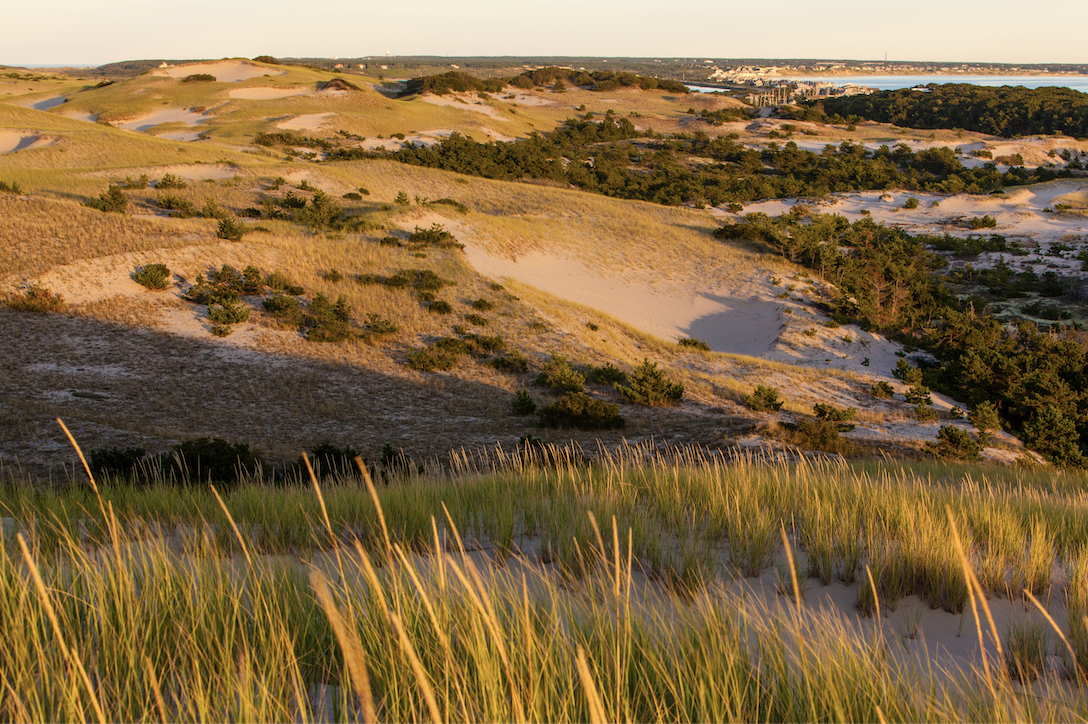 A (Baker’s) Dozen Unique Things To Do On Cape Cod