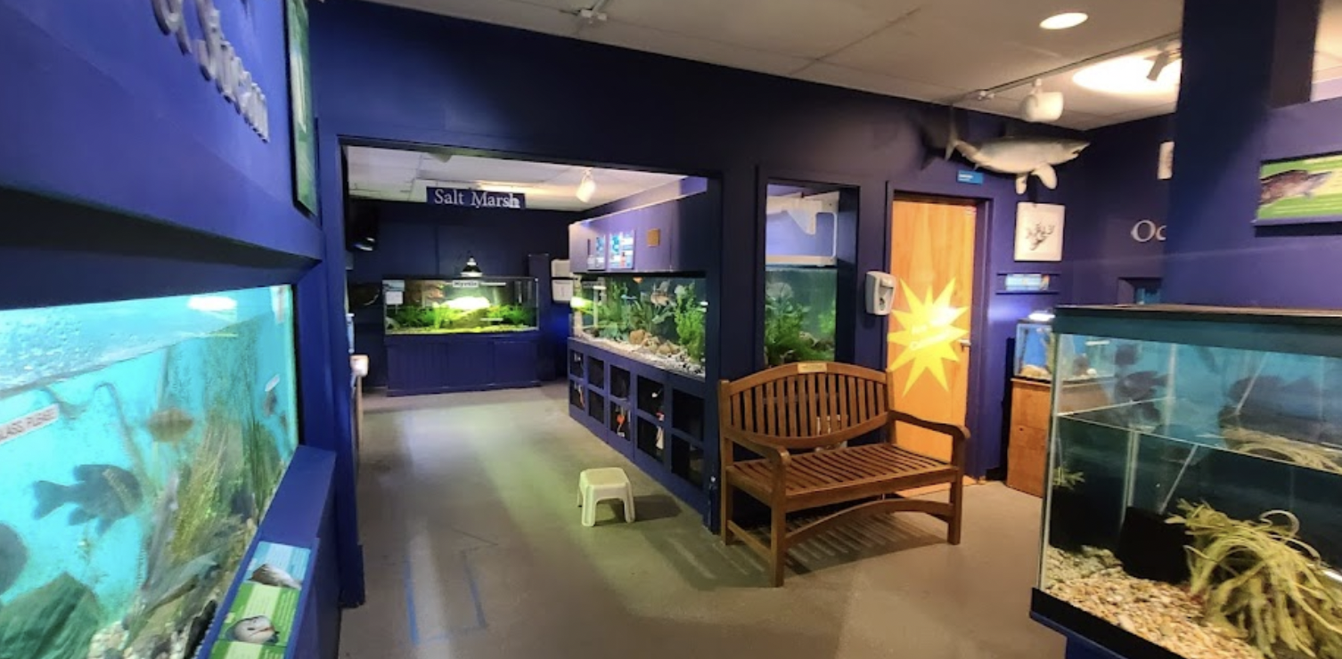 A (Baker’s) Dozen Unique Things To Do On Cape Cod