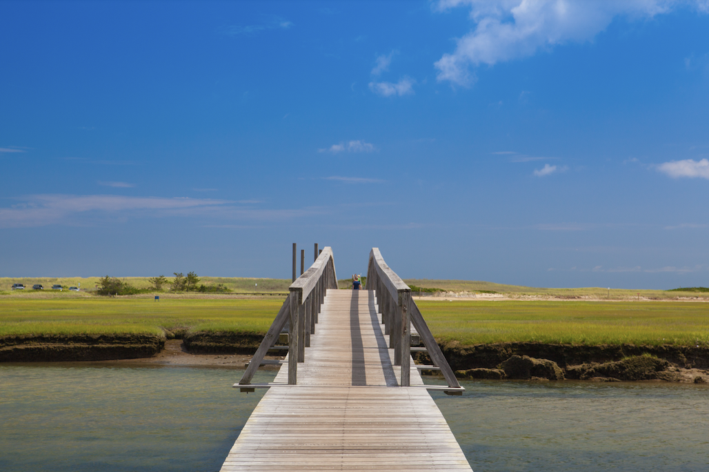 Where to Stay on Cape Cod: A Guide for All Types of Travelers