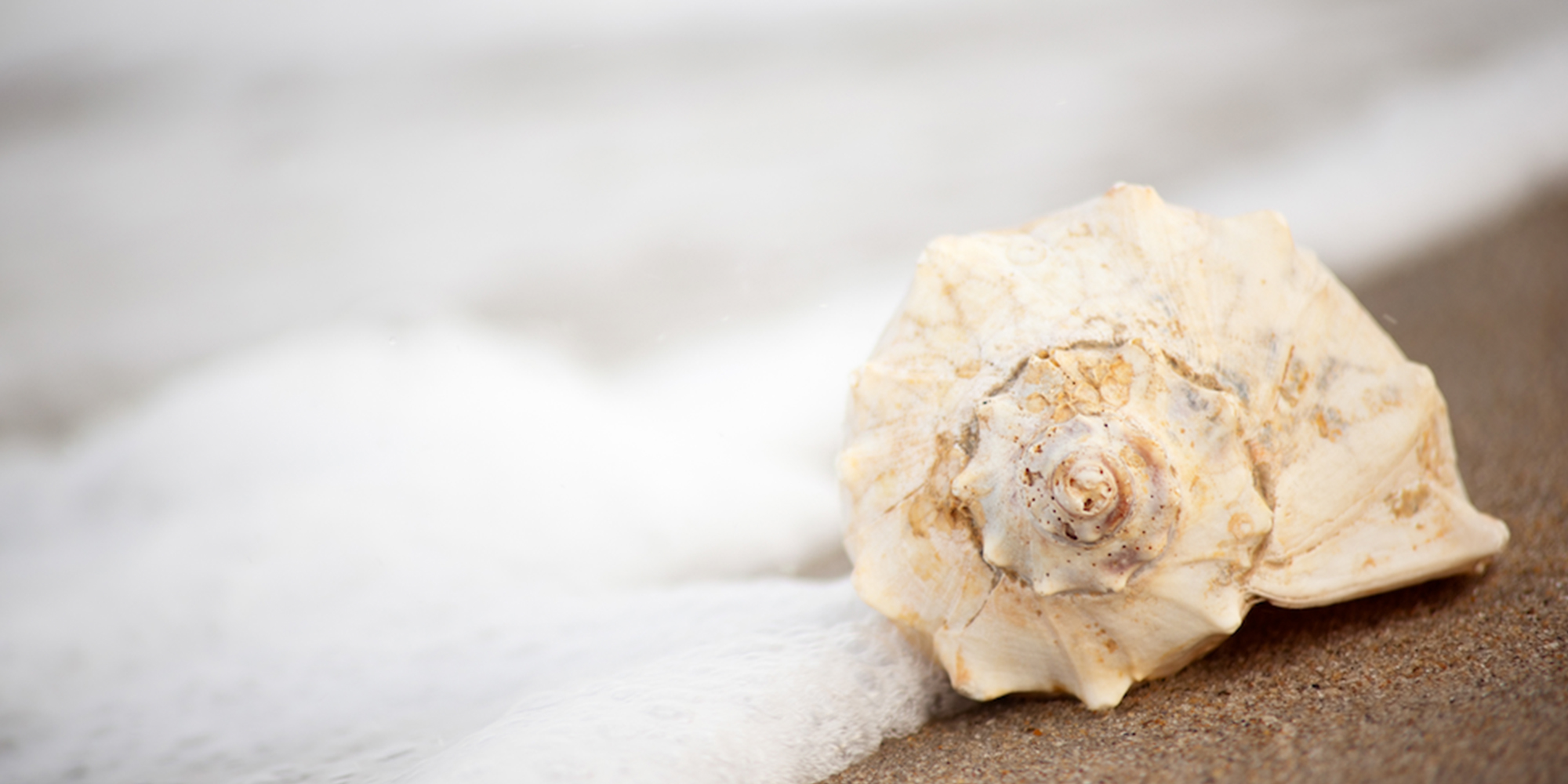 Stress-Free Beachfront Vacation Rentals on Cape Cod | Del Mar